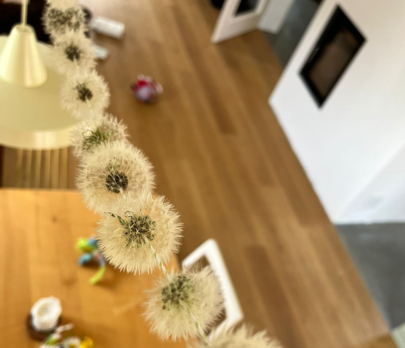 Löwenzahn - Fachakademie für Sozialpädagogik Maria Stern Augsburg ...